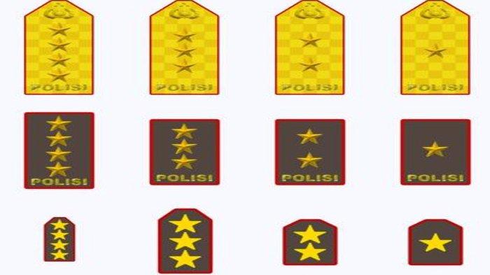 Tingkatan Pangkat Polisi Lengkap dari Tertinggi hingga Terendah, AKBP Buddy? - Tribunpekanbaru.com