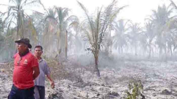 Titik Api Kembali Muncul, Petugas Langsung Diterjunkan, Hari Ini Ada 10 ...