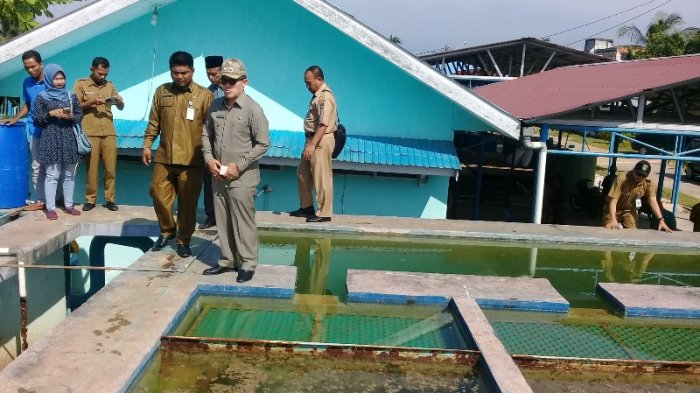 Inilah Rencana Tarif Baru Air Bersih di Dumai - Tribunpekanbaru.com