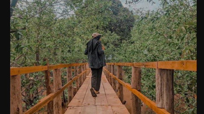 VIral Destinasi WIsata Pulau Semut di Pekanbaru, Suguhkan Panorama ...