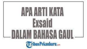 Jomok Viral di Medsos, Apa Itu Jomok dalam Bahasa Gaul dan Arti Kata Jomok serta Jomok Artinya ...