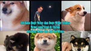 Arti Kata Dontol dan Artinya yang Viral di TikTok serta Arti Dontol ...