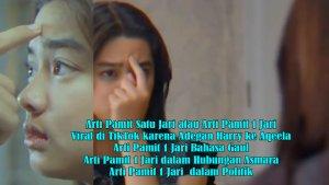 Arti Kata Icibos yang Viral di TikTok dan Arti Icibos Bahasa Gaul serta ...