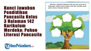 Soal Ujian Sekolah IPA Kelas 9 Kurikulum Merdeka Dilengkapi Kunci Jawaban Latihan Contoh Soal ...