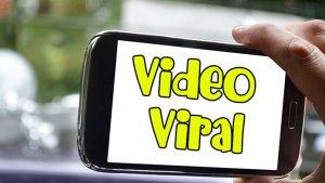 Sosok dan Profil Seleb TikTok Zalva Viral karena Video Viral di Kamar Mandi - Tribunpekanbaru.com