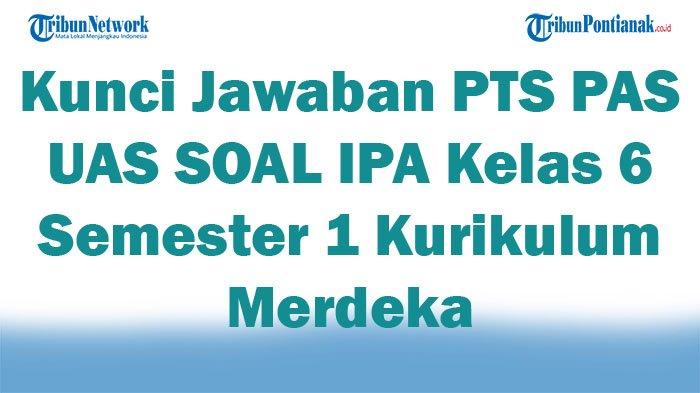 55 Kunci Jawaban PTS PAS UAS SOAL IPA Kelas 6 Semester 1 Kurikulum Merdeka - Tribunpontianak.co.id