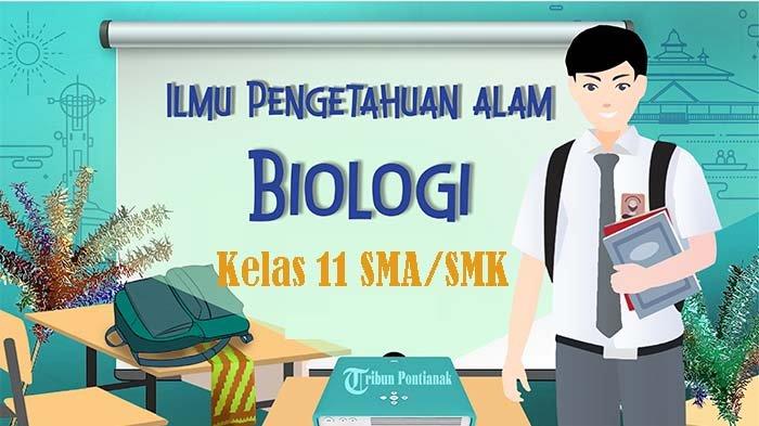 Materi Modul Ajar Biologi Kelas 11 SMA/MA Kurikulum Merdeka, Link Download Buku Siswa dan Guru ...