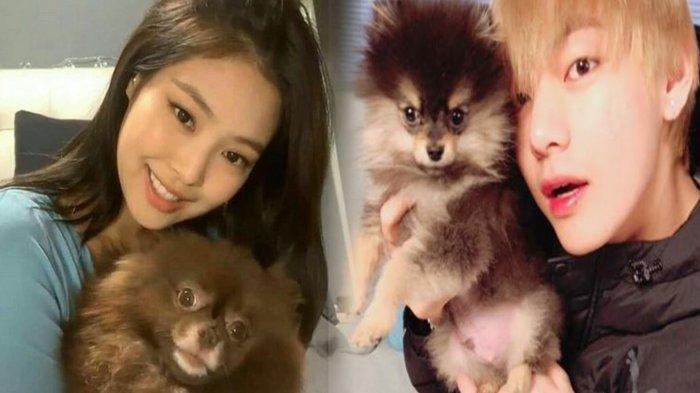 8 Potret Menggemaskan Idola K-Pop dengan Anjing Kesayangan, Imutnya V ...
