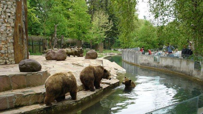 Contoh Ekosistem Buatan dan Dampaknya, Kunci Jawaban IPA Kelas SD ...