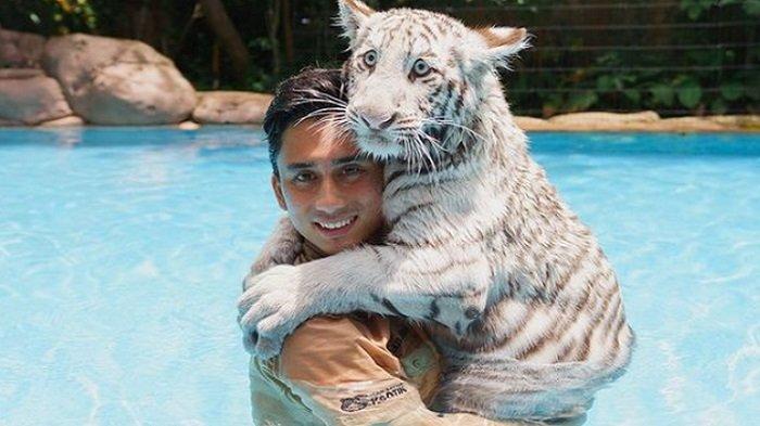 Pembahasan Mengenai Alshad Trending Topic di Twitter Hari ini, Apa itu ...