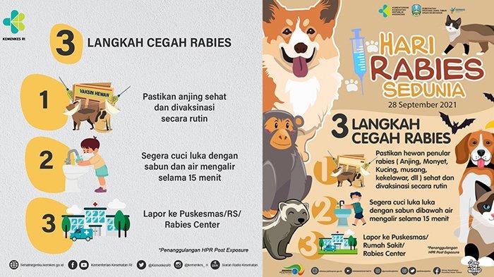 Apakah Penyakit Rabies Bisa Sembuh? Siapa yang Menemukan Vaksin Rabies ... Apakah Penyakit Rabies Bisa Sembuh? Siapa yang Menemukan Vaksin Rabies ...