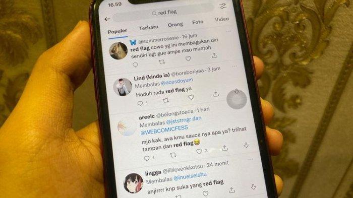 Muncul Bahasa Gaul Lagi di TikTok dan Twitter "Red Flag", Apa Arti Sebenarnya? - Tribunpontianak ...