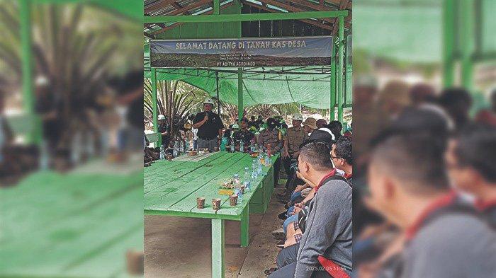 Panen Perdana, PT Aditya Agroindo Sukses Terapkan Pengelolaan Tanah Kas ...