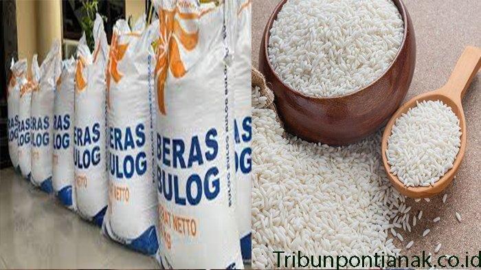 Bulog Kalbar Akan Datangkan 10.500 Ton Beras dari Vietnam dan Thailand ...