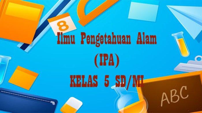 50 Soal IPA Kelas 5 SD Semester 2 Kurikulum Merdeka Tahun 2025, Jawaban Pilihan Ganda - Halaman ...