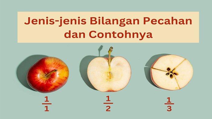 Contoh dan Macam-Macam Bilangan: Pengertian dan Penjelasan Lengkap ...