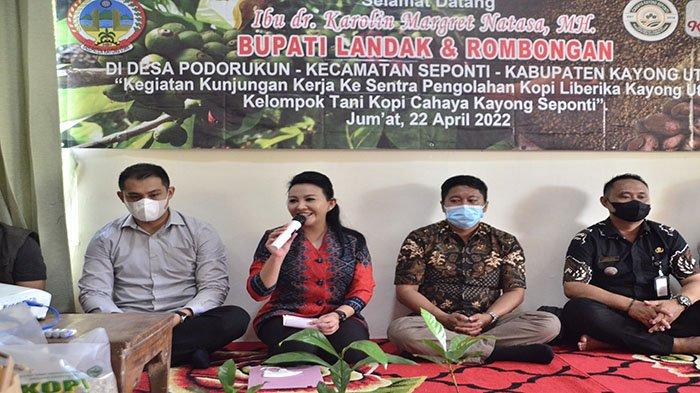 Pemkab Landak Belajar Pengolahan Serta Pemasaran Kopi di Kabupaten ...