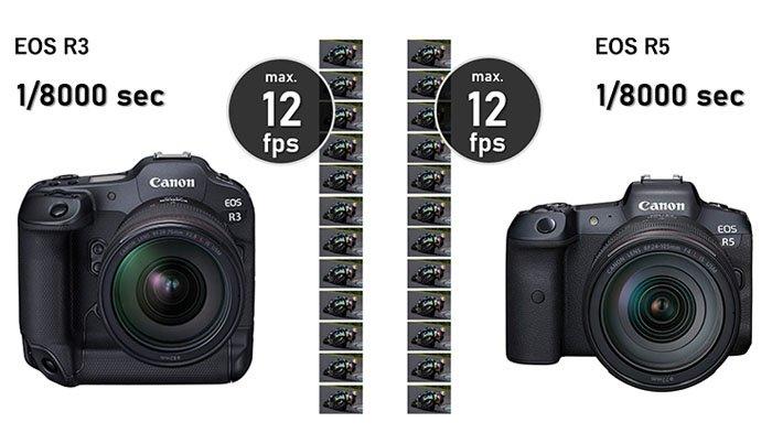 Perbandingan Canon EOS R3 Vs EOS R5: Kualitas Gambar Diam ...
