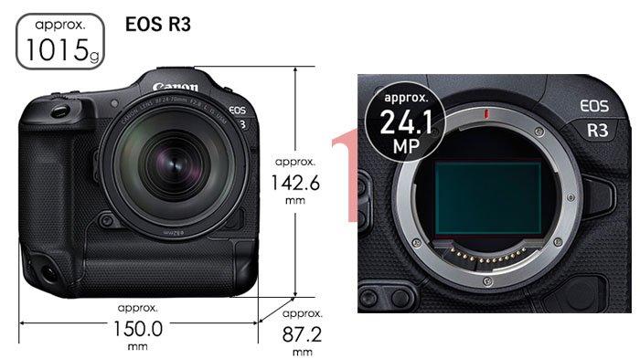 Perbandingan Canon EOS R3 Vs EOS R5: Performa Kecepatan ISO Tinggi ...