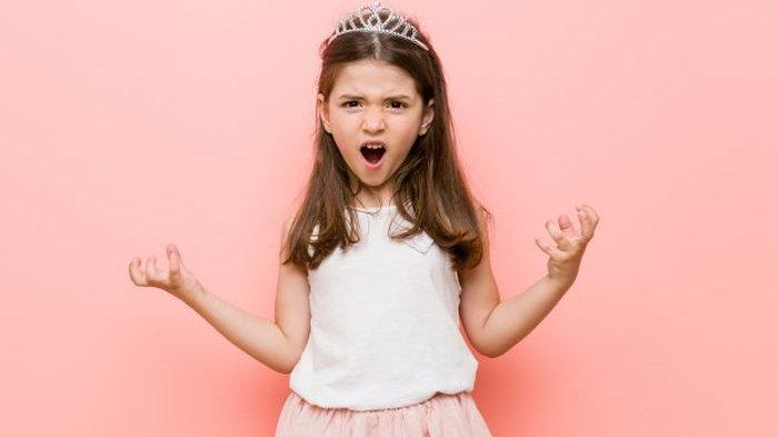 Contoh Imaji dalam Puisi Lengkap Jenis dan Pengertiannya ...