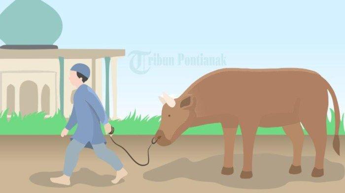 Cara Mudah Membedakan Hewan Sakit dan Sehat untuk Kurban Idul Adha ...