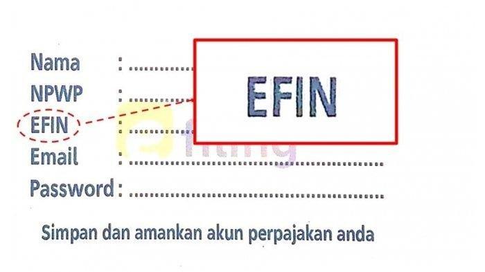 Cara Aktifkan Kode EFIN Dari DJP Secara Online dan Email Untuk Kepentingan Lapor SPT Tahun 2024 ...