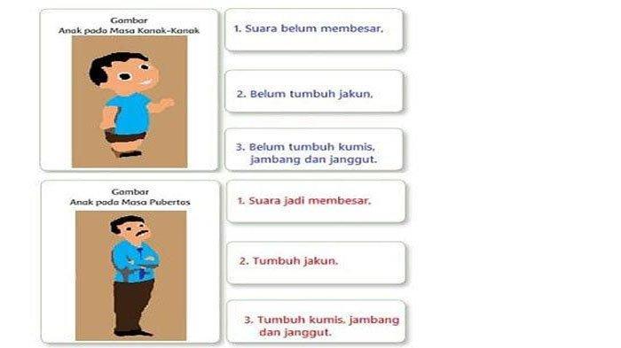 Soal Latihan IPA Tentang Perubahan Tubuh pada Anak Laki-Laki di Masa Pubertas - Tribunpontianak ...