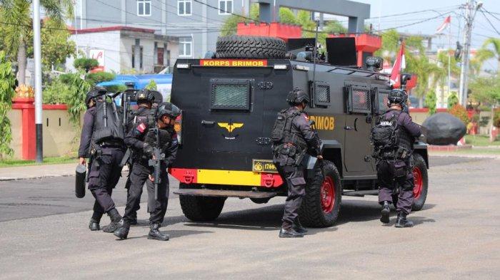 Detasemen Gegana Brimob Kalbar Gelar Latihan untuk Tingkatkan Kemampuan - Tribunpontianak.co.id