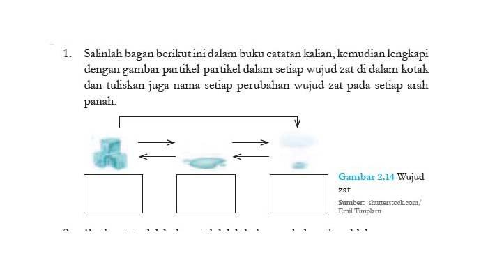 Soal IPA Kelas 7 SMP Kurikulum Merdeka, Kunci Jawaban Uji Kemampuan Bab 2 Halaman 60 ...