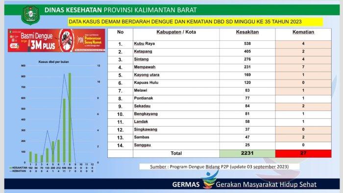 Dinkes Kalbar: Kasus DBD Tertinggi Terjadi Pada Agustus 2023 Capai 834 - Tribunpontianak.co.id
