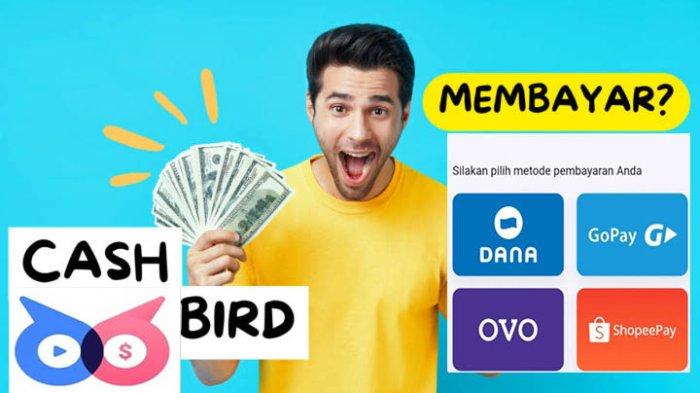 Aplikasi Penghasil Uang Cash Bird, Peluang dapat Hadiah Uang Tunai dan Resmi Ada di Play Store ...