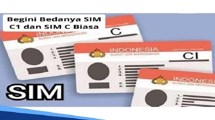 Perbedaan SIM C dan SIM C1 yang Resmi Diluncurkan, Ada Syarat Tertentu ...