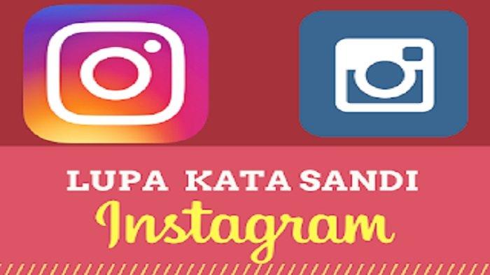 Lupa Kata Sandi Instagram? Coba Dua Cara Ini Agar Akun Anda Bisa Kembali Login Otomatis ...