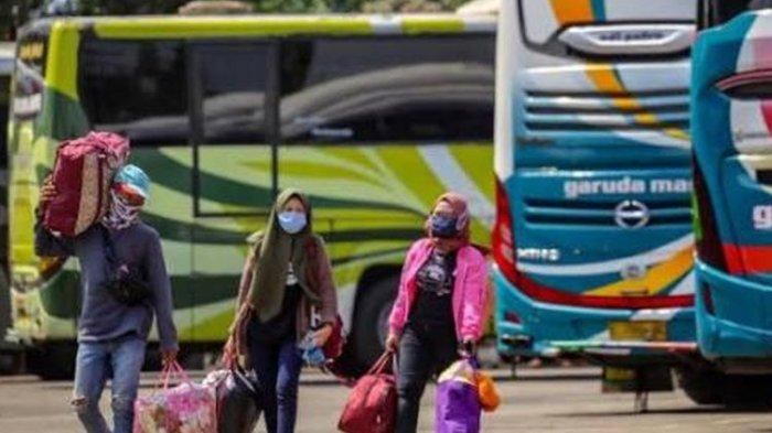 Program Mudik Gratis BUMN 2023 Resmi Dibuka! Begini Cara Daftarnya - Tribunpontianak.co.id