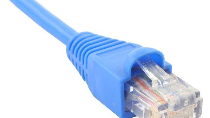 Mengetahui Lebih Jelas, Apa Itu Port RJ45 Serta Fungsi Utamanya ...