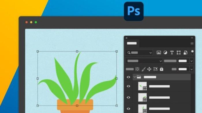 Hobi Desain Grafis? Berikut Ini Penjelasan Fungsi Dari Grafik Vector ...