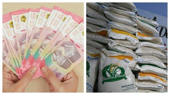 Proses Pembagian Bantuan Beras 10 Kg Hingga BPNT April 2024, Cek Disini ...