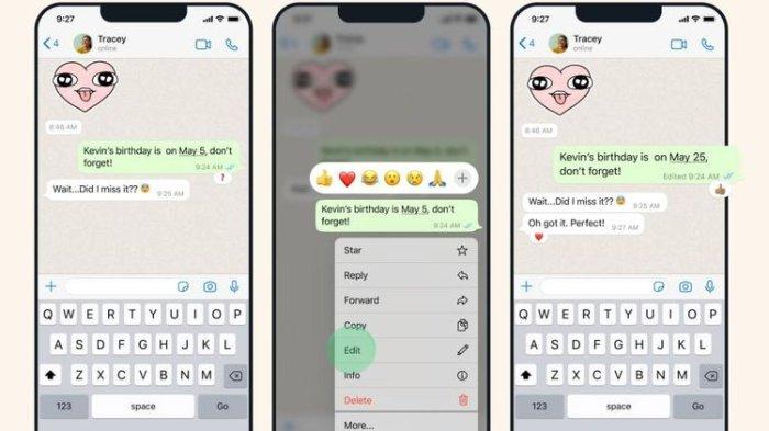 Chat WhatsApp Yang Sudah Terkirim Bisa di Edit Jika Typo, Begini Caranya - Tribunpontianak.co.id