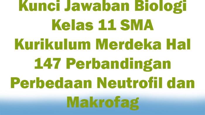Jawaban Biologi Kelas 11 SMA Kurikulum Merdeka Hal 147 Perbandingan ...
