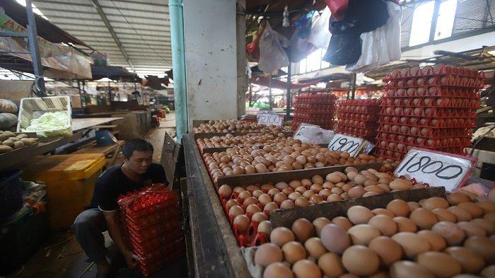 Sembako di Pontianak Dipastikan Aman Jelang Nataru 2023, Tapi Harga Telur Ayam Mulai Naik ...