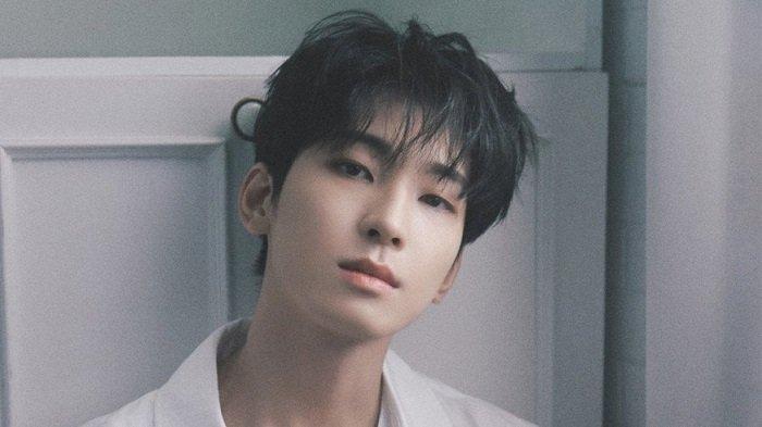 Jeon Wonwoo SEVENTEEN dan Cerita Sulitnya Menjadi Idol Kpop yang Introvert - Tribunpontianak.co.id