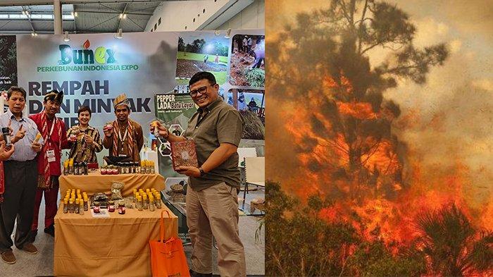 Kalbar Populer Hari Ini: 15 Hotspot Kembali Muncul, Lada Batu Layar ...