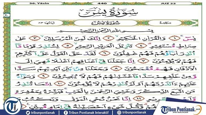 Kapan Waktu Membaca Yasin 3x Malam Tahun Baru Bahasa Arab Latin Lengkap ...