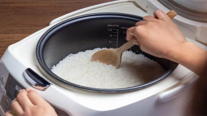 Tidak Mudah Basi, Begini Cara Menyimpan Nasi agar Tetap Awet dan Tahan ...