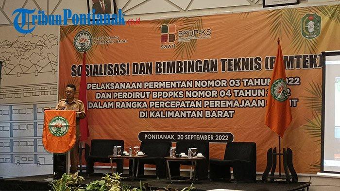 Kalimantan Barat Penghasil Sawit Terbesar ke 2 Setelah Riau, Pemprov Tekankan Indeks Desa ...