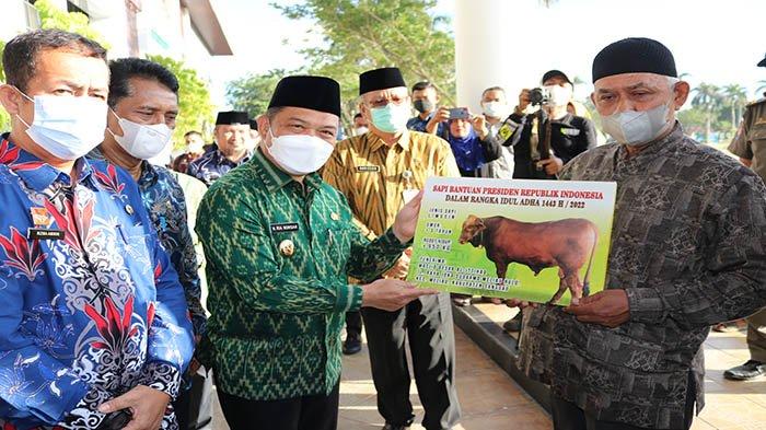 Ikuti Fatwa MUI! Muhammad Munsif Sebut Ternak Bergejala Ringan PMK Boleh Dijadikan Hewan Kurban ...