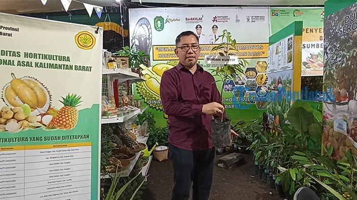 12 Varietas Durian Kalbar Diakui Kementan, Kadis DTPH: Dinas Bantu ...