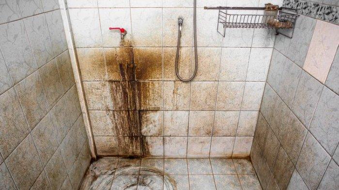 Keramik Kamar Mandi Kotor dan Kusam, Cara Mengatasinya Mudah Cukup Bahan Sederhana ...