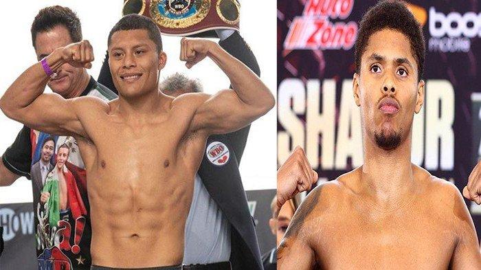 Hasil Tinju Dunia Shakur Stevenson vs Isaac Cruz Jadi Lawan Wajib Penakluk Murid Manny Pacquiao ...