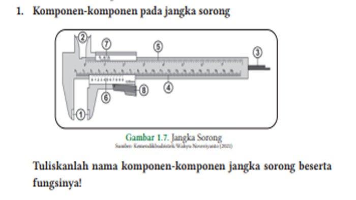 Soal IPA Kelas 10 SMA Kurikulum Merdeka, Kunci Jawaban Aktivitas 1.3 Bab 1 Halaman 8 - 10 ...